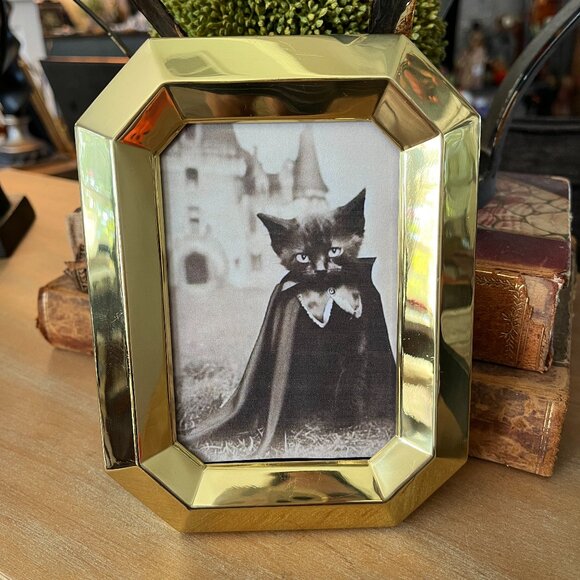 Vintage | Accents | Vintage Solid Brass Frame With Picture Of Black Cat ...